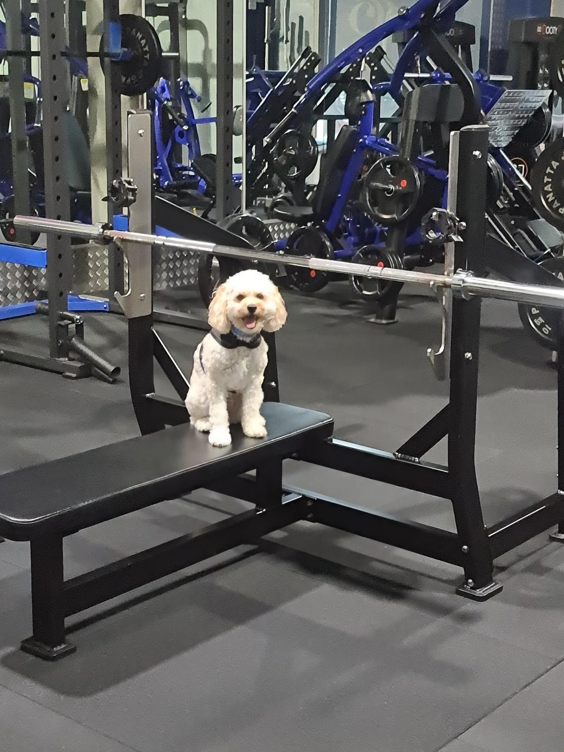 Steph Young on choosing joy